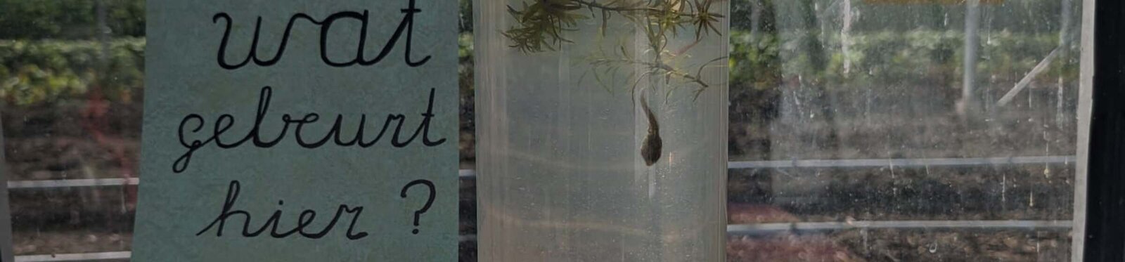 Tafeltje ontdekje - KIKKERS - De Moestuin Maarschalkerweerd